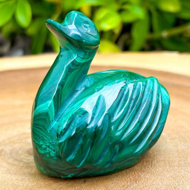 Genuine Malachite Duck - Malachite Animal Duck - Magic Crystals