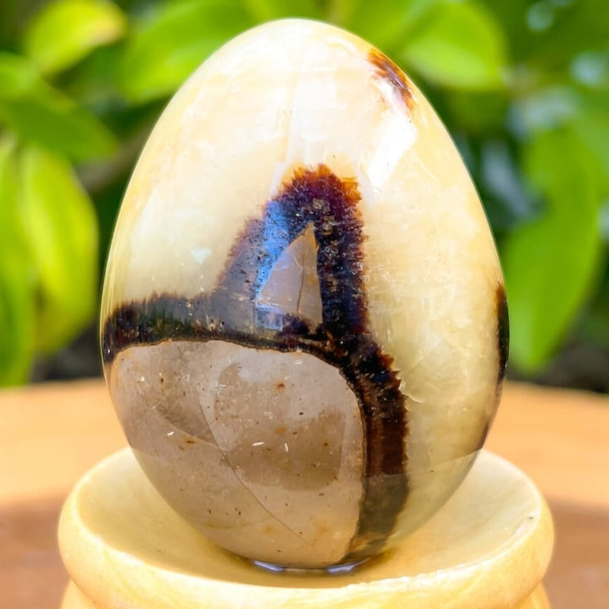 Septarian Dragon Stone egg, Septarian Crystal egg - Magic Crystals