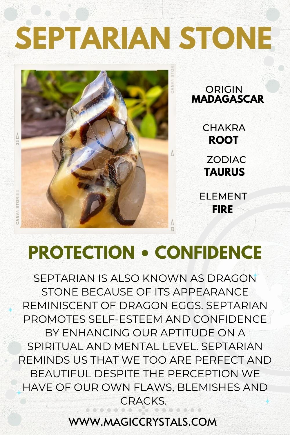 Septarian Dragon - Collector Pieces - One of a Kind - Magic Crystals