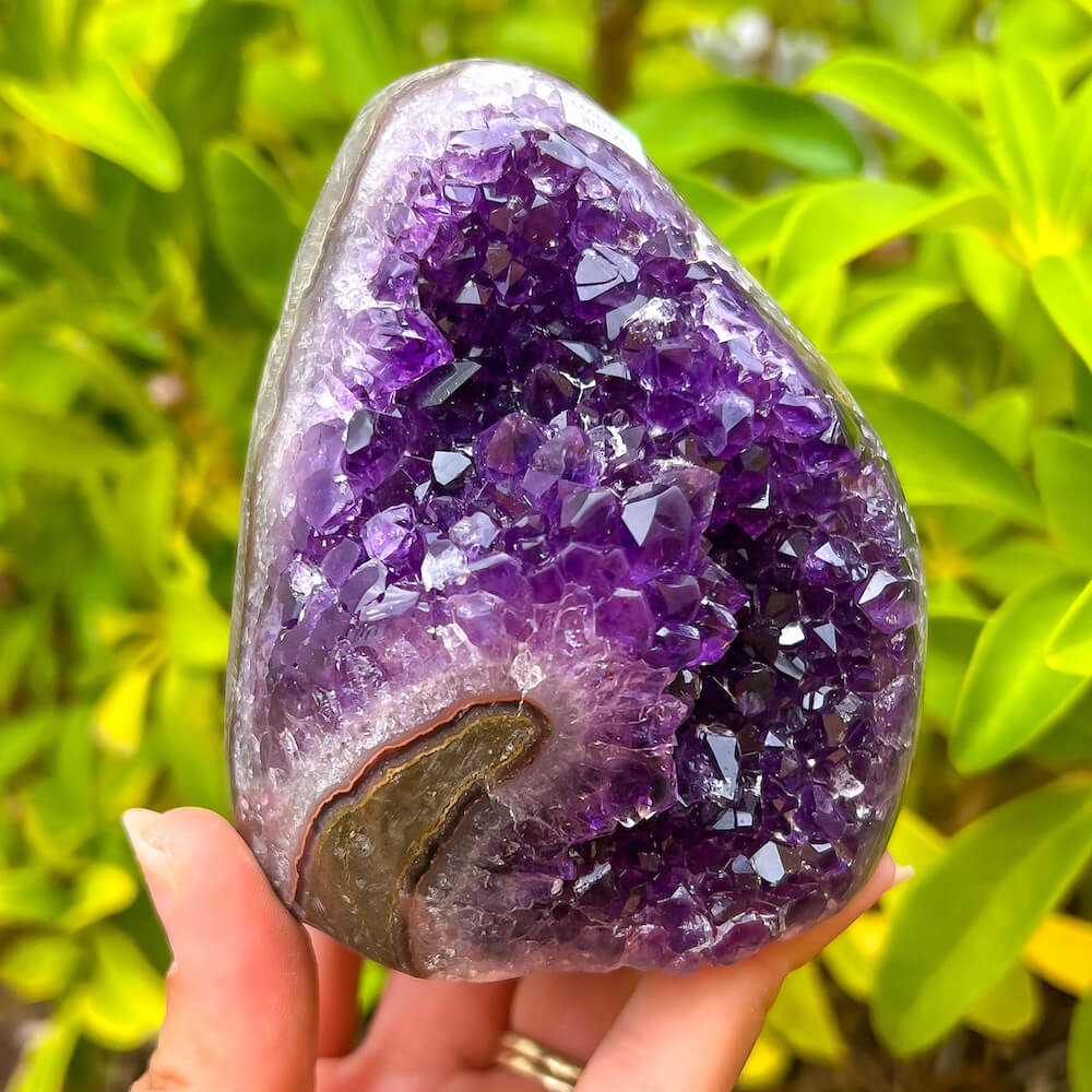 Small Amethyst Polished Geode - Cathedral Amethyst - Magic Crystals