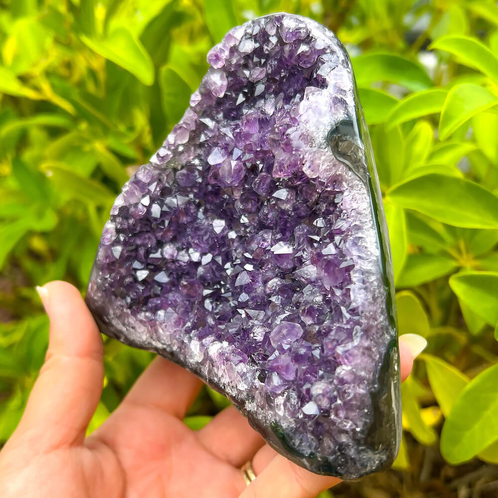 Small Amethyst Polished Geode - Cathedral Amethyst - Magic Crystals