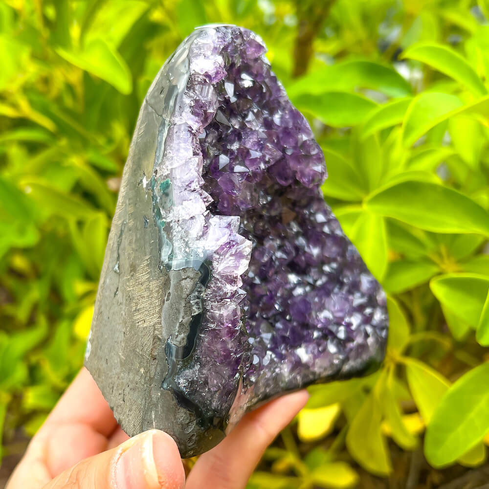 Small Amethyst Polished Geode - Cathedral Amethyst - Magic Crystals