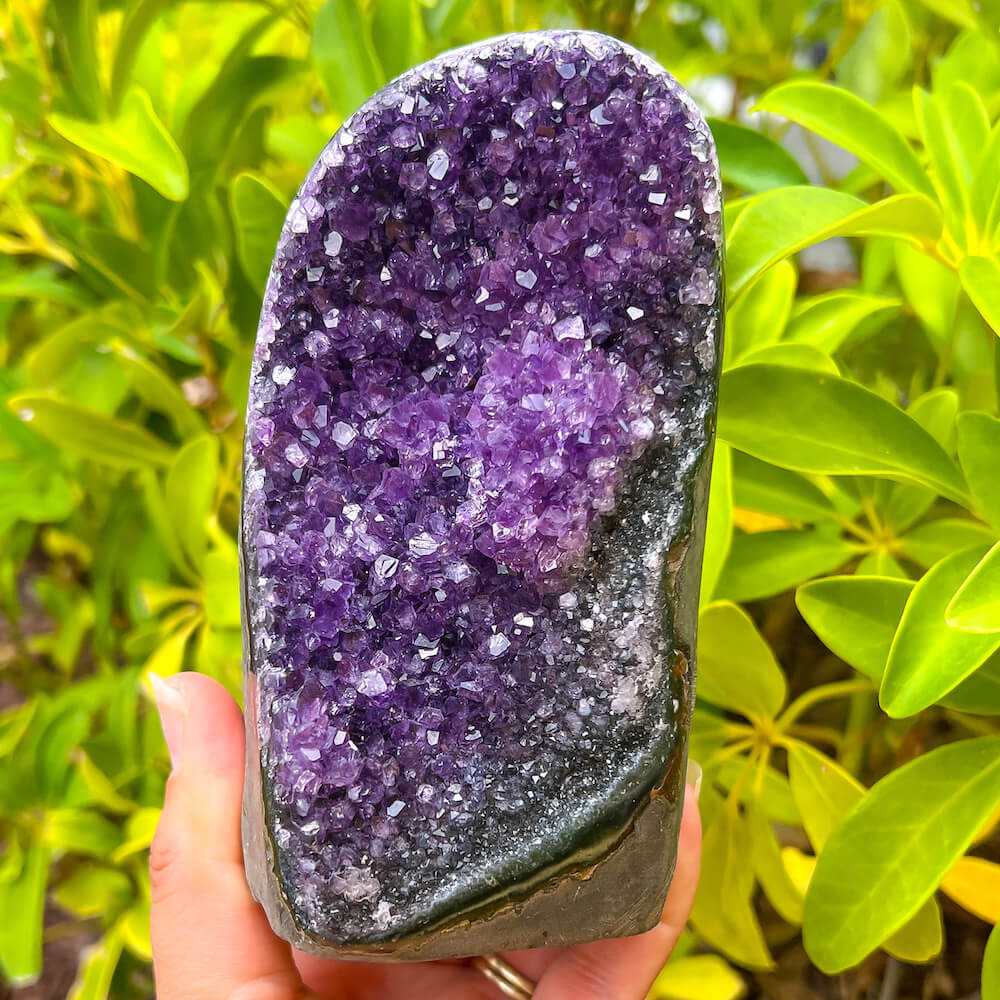 Small Amethyst Polished Geode - Cathedral Amethyst - Magic Crystals