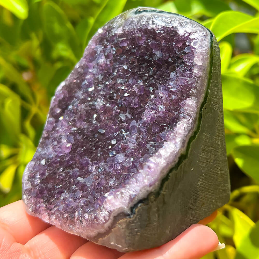 Small Amethyst Polished Geode - Cathedral Amethyst - Magic Crystals