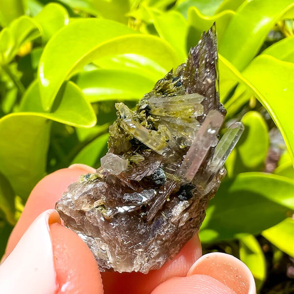 Axinite, Epidote, Quartz Mineral, Epidote on Matrix, Magic Crystals