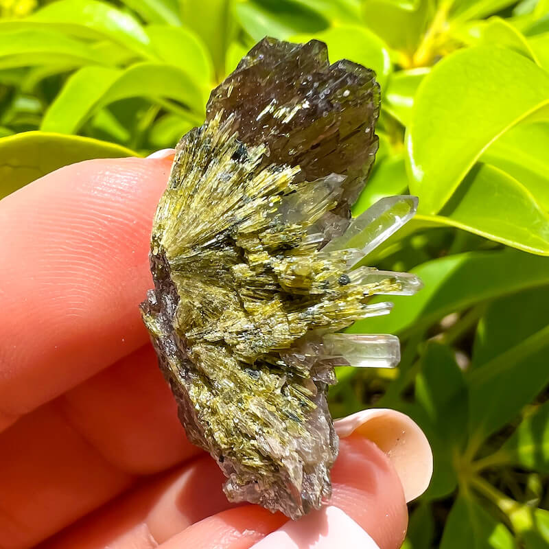 Axinite, Epidote, Quartz Mineral, Epidote on Matrix, Magic Crystals