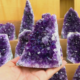 Grade A Amethyst Cut Base Geode - Cathedral Amethyst - Magic Crystals