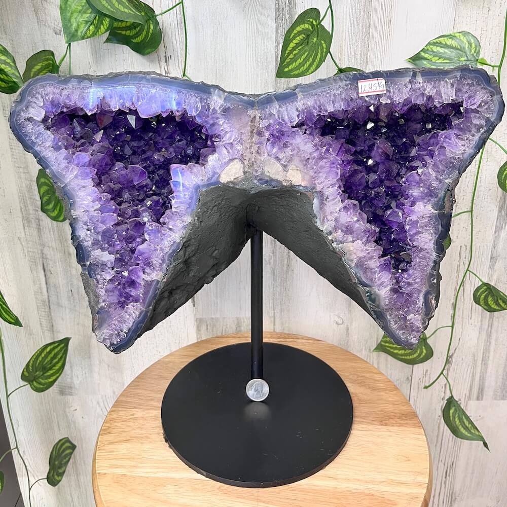 Amethyst Druzy Amethyst Wings, Amethyst Crystal Piece - Magic Crystals