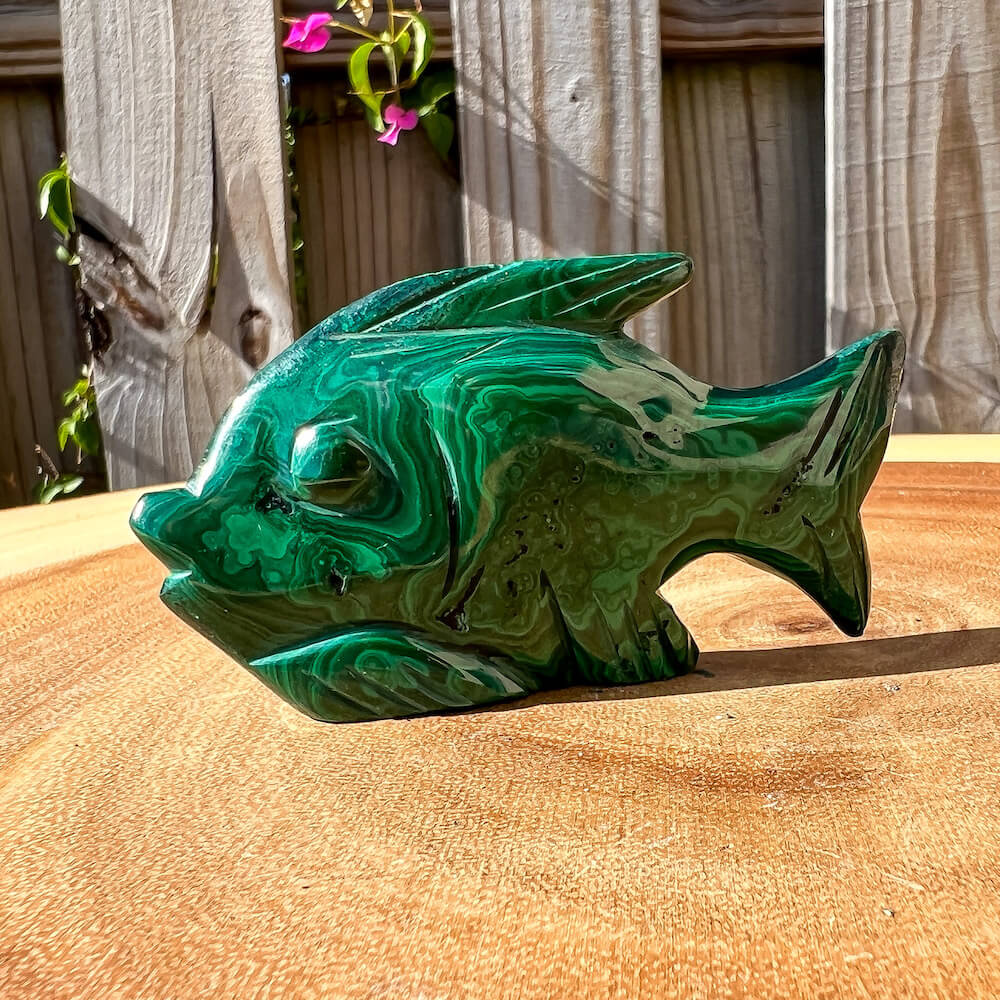 Genuine Malachite Fish - Malachite Animal Fish - Magic Crystals