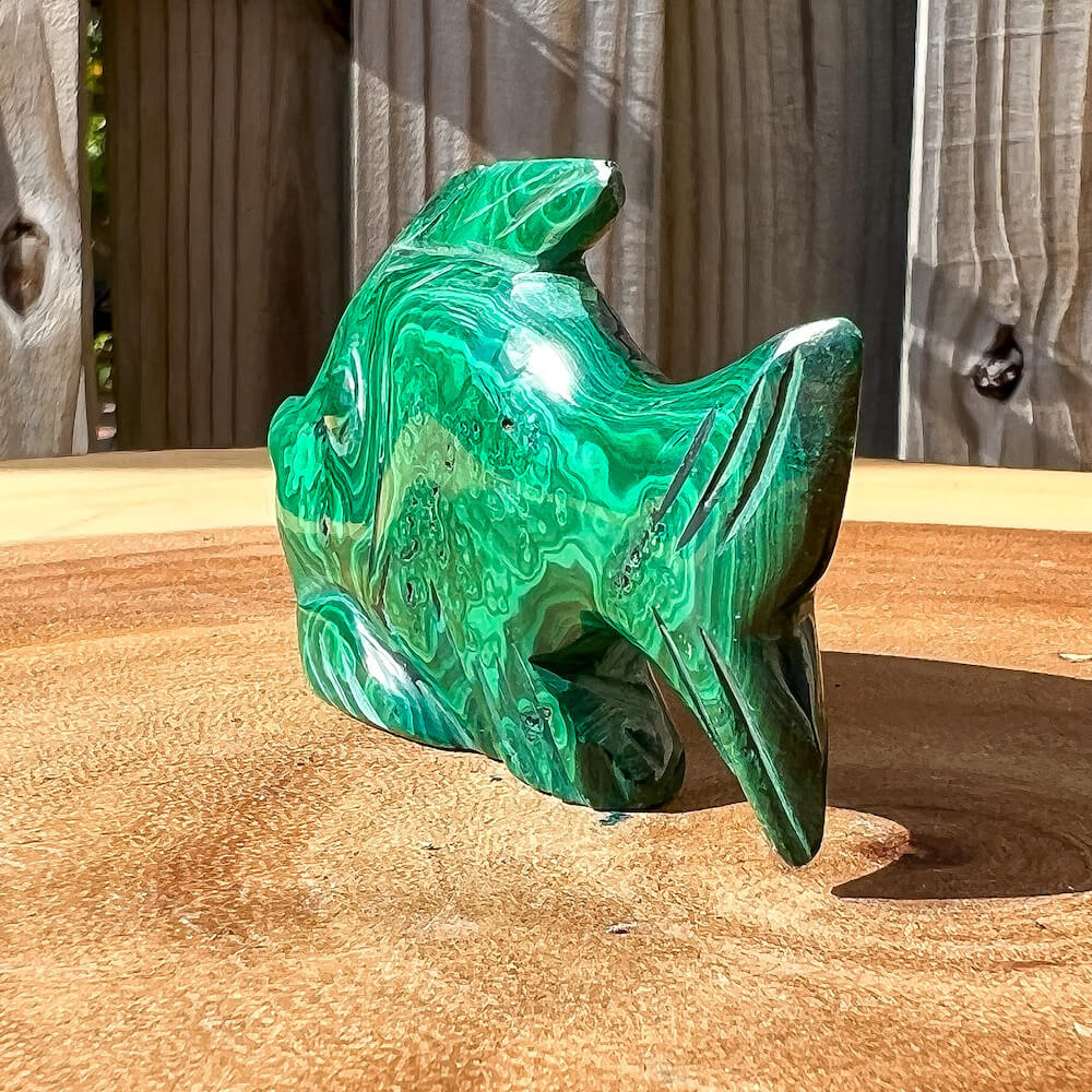 Genuine Malachite Fish - Malachite Animal Fish - Magic Crystals