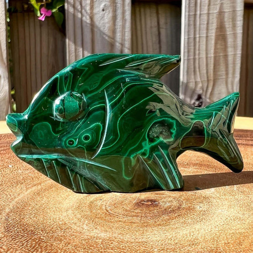 Genuine Malachite Fish - Malachite Animal Fish - Magic Crystals