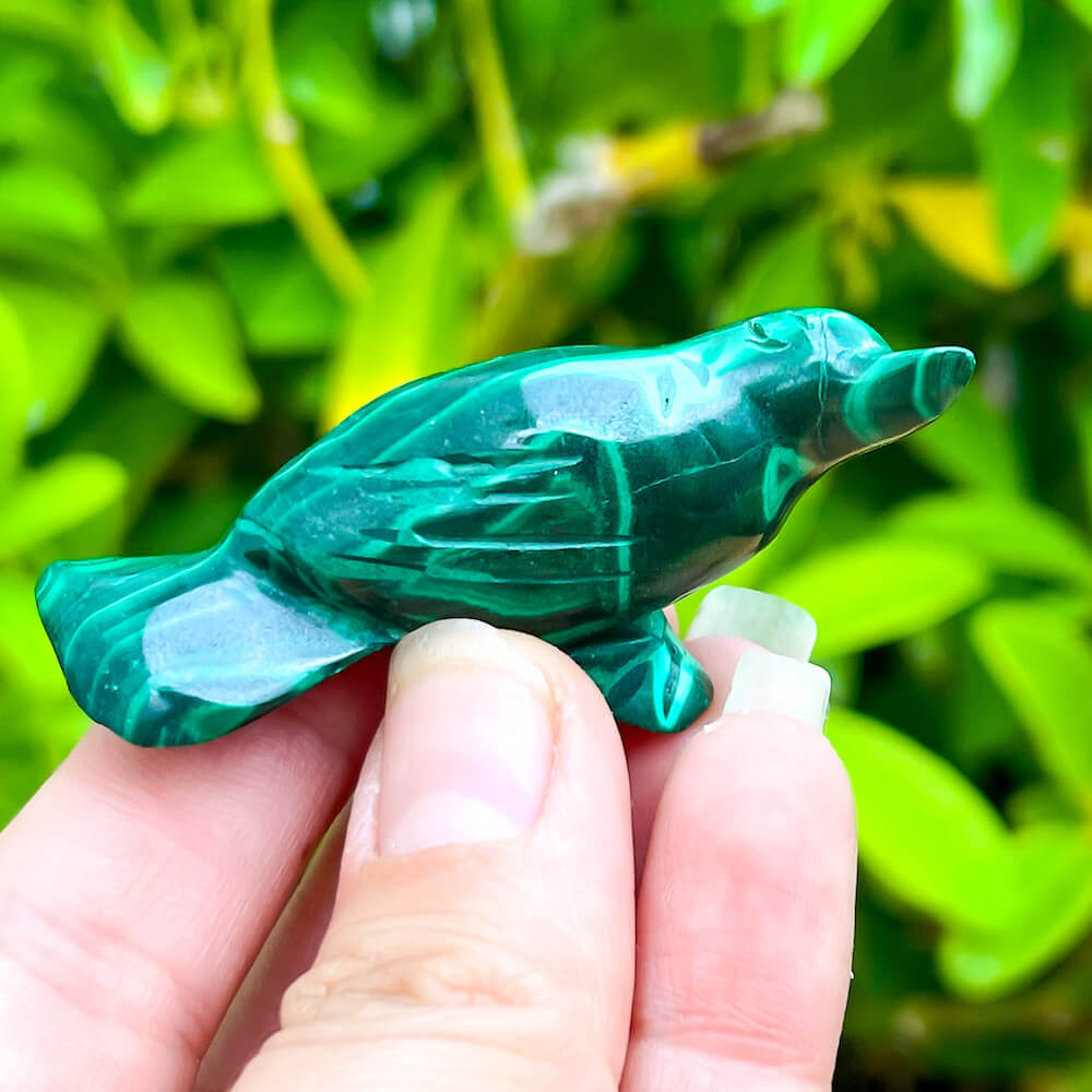 Genuine Malachite Bird - Malachite Carving - Magic Crystals