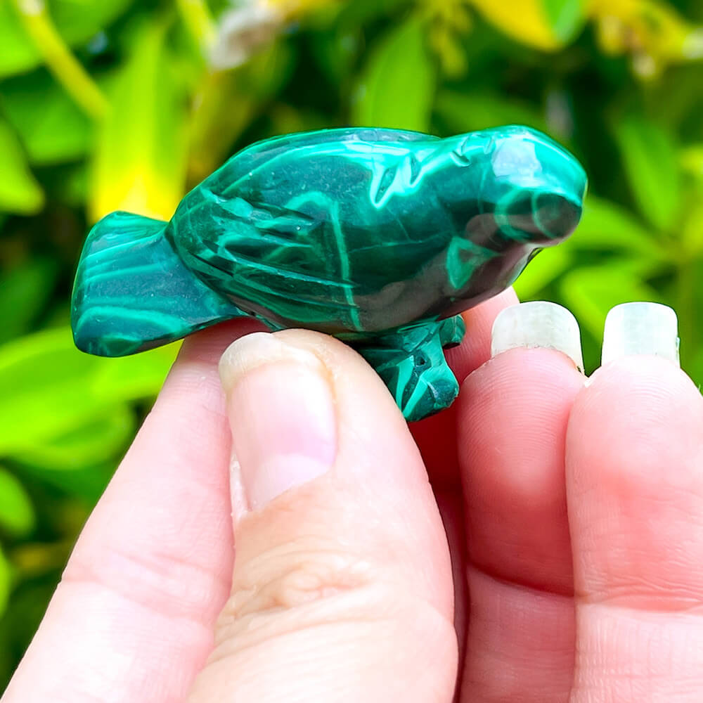 Genuine Malachite Bird - Malachite Carving - Magic Crystals