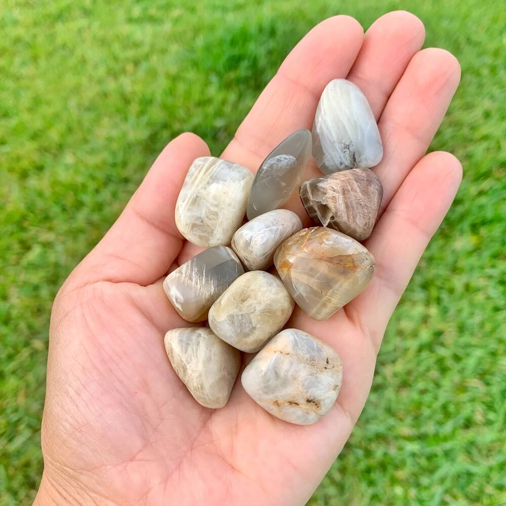 Tumbled Natural Moonstone Stone - Healing Crystal - MAGIC CRYSTALS ...