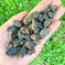 Raw Amber Chunks for Healing & Protection | Magic Crystals
