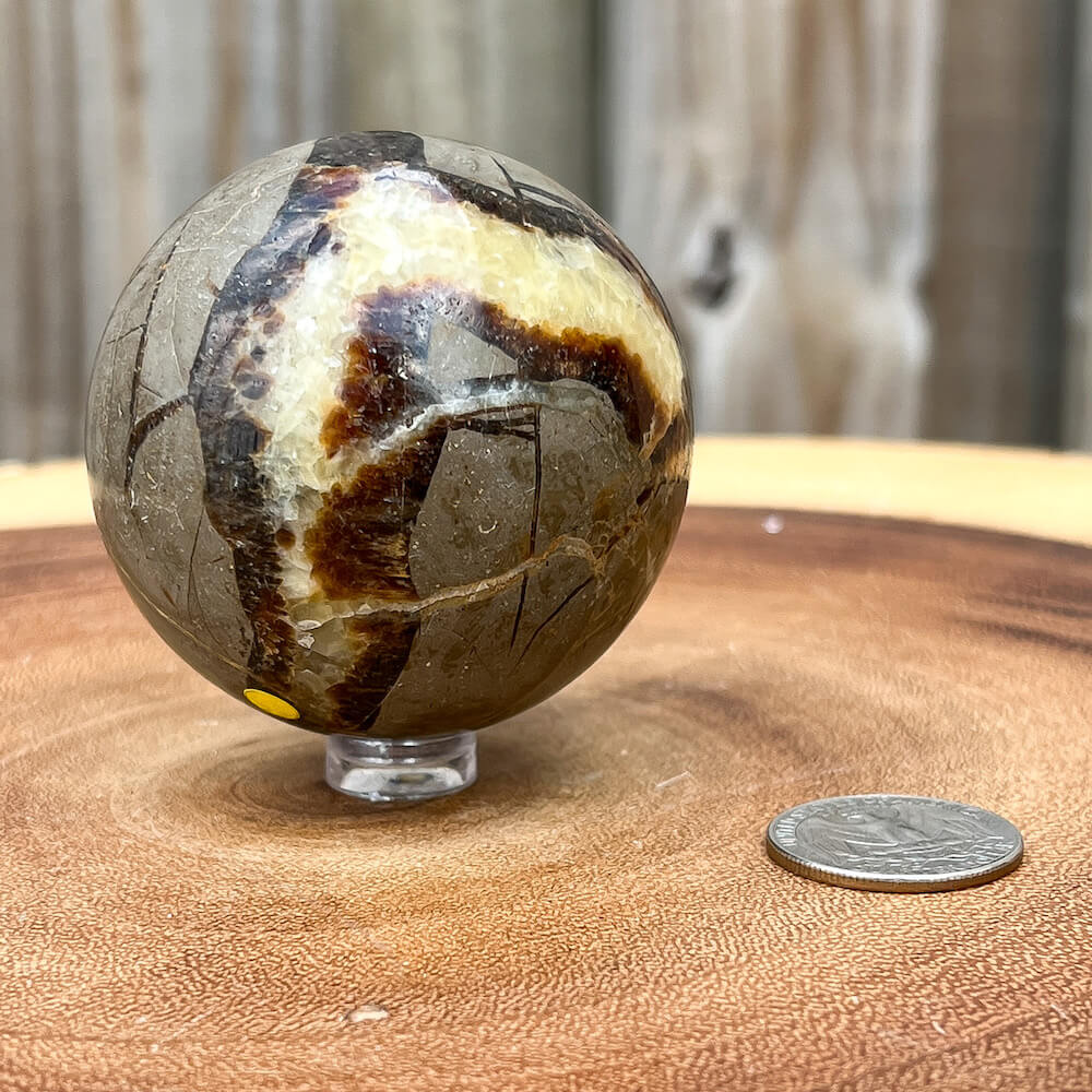 Septarian Dragon Stone Sphere, Septarian Nodule Stone - Magic Crystals
