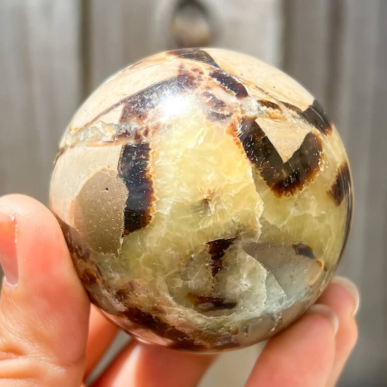 Septarian Dragon Stone Sphere, Septarian Crystal Ball - Magic Crystals