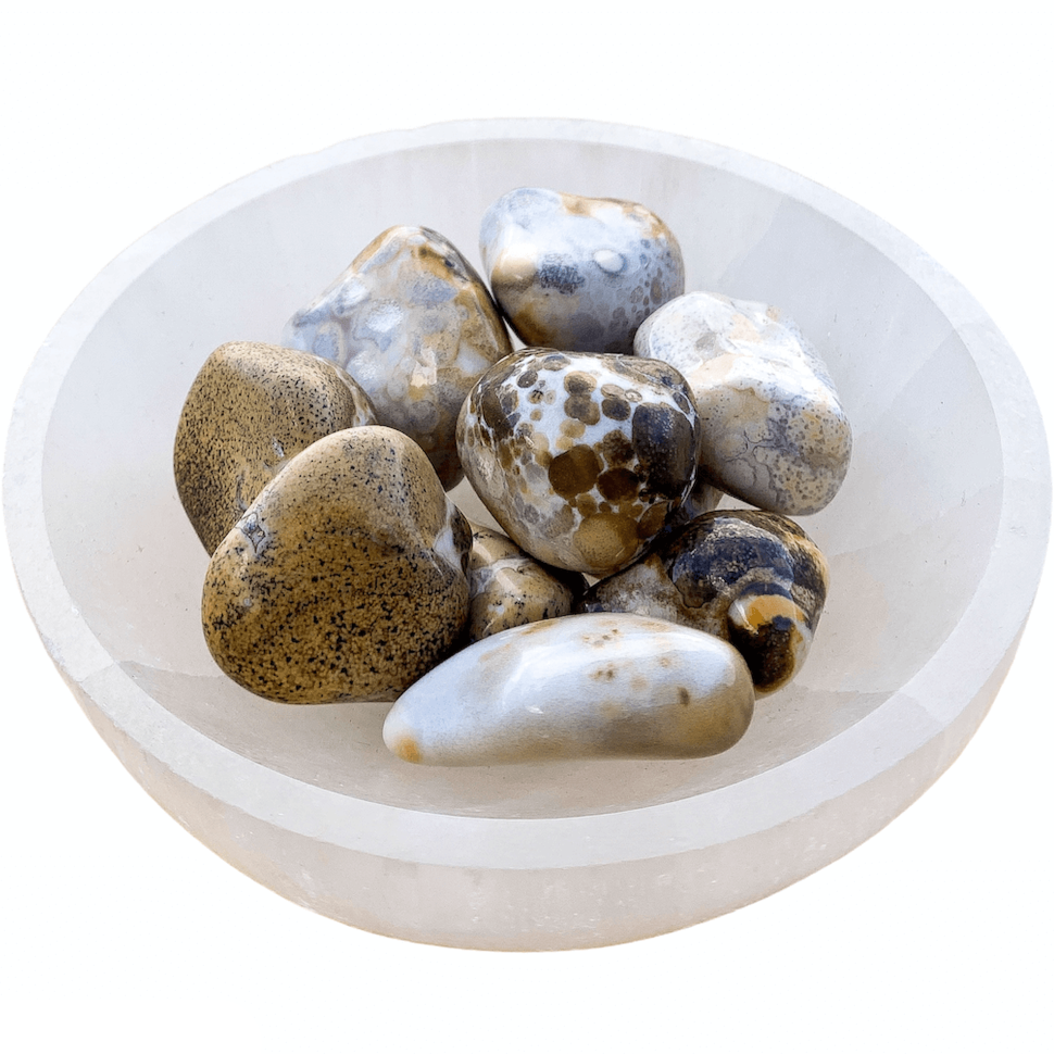 Spotted Agate Tumbled Stones - Healing Crystals - MAGIC CRYSTALS ...